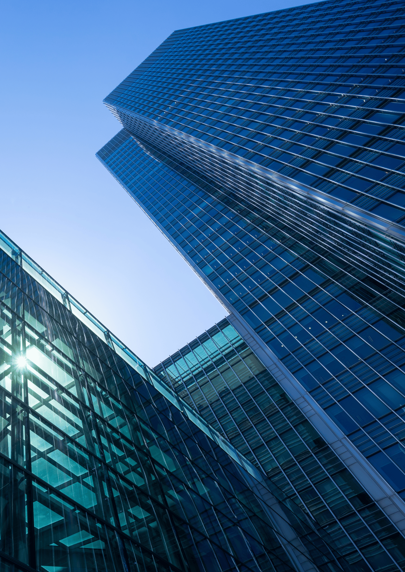 ADN Transition : le management de transition sur-mesure